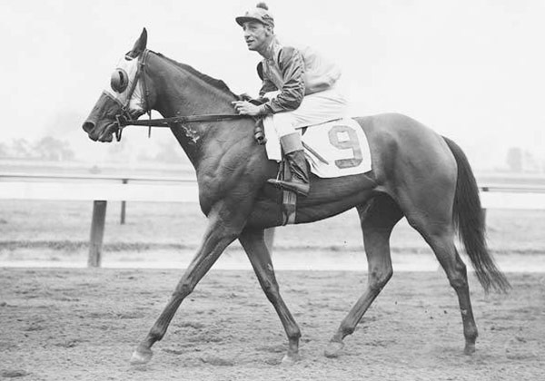 Misty Morn - Claiborne Farm