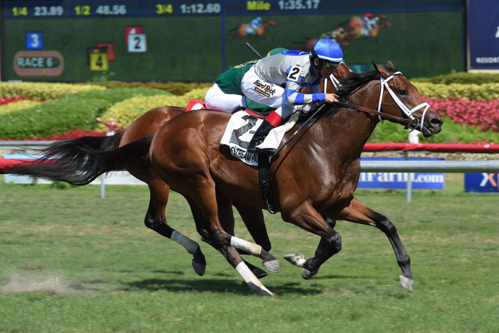 Maraud (Blame) Takes the Palm Beach S. (G3) - Claiborne