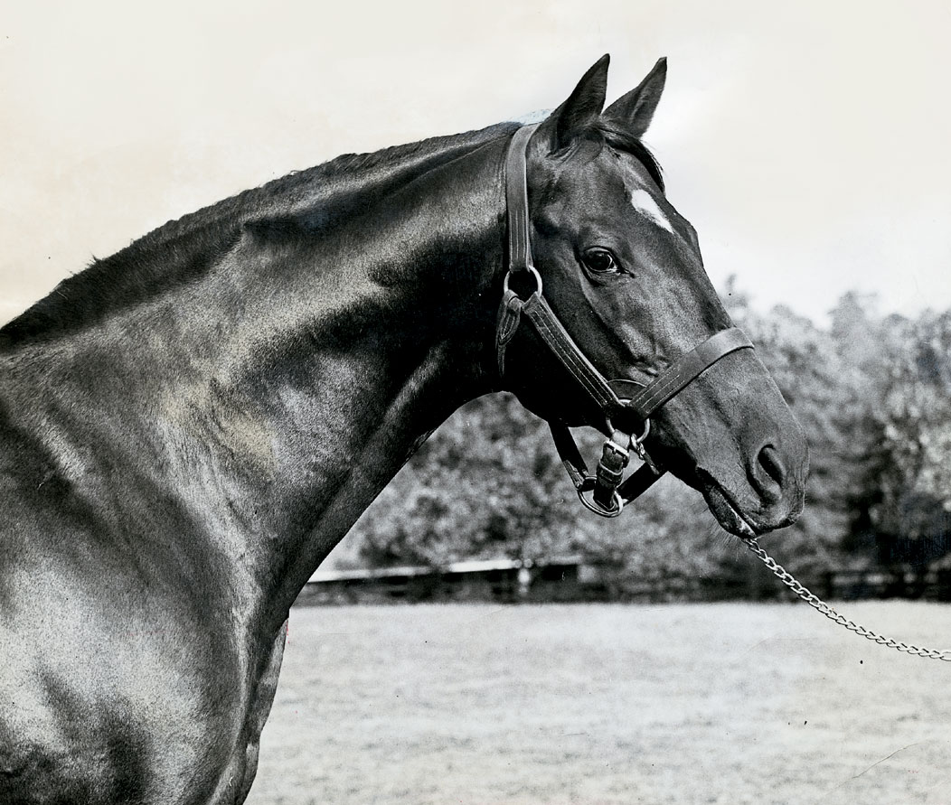 Kentucky Oaks Contender Lemon Muffin Is the Newest Graded Winner for ...