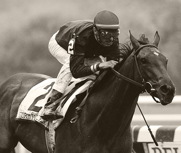 STORM FLAG FLYING - Claiborne