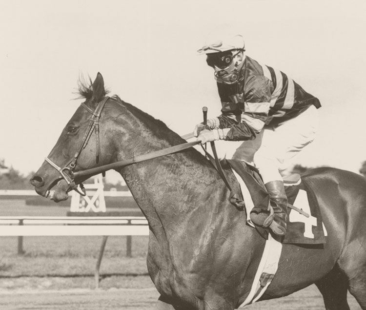 Tom Rolfe - Claiborne