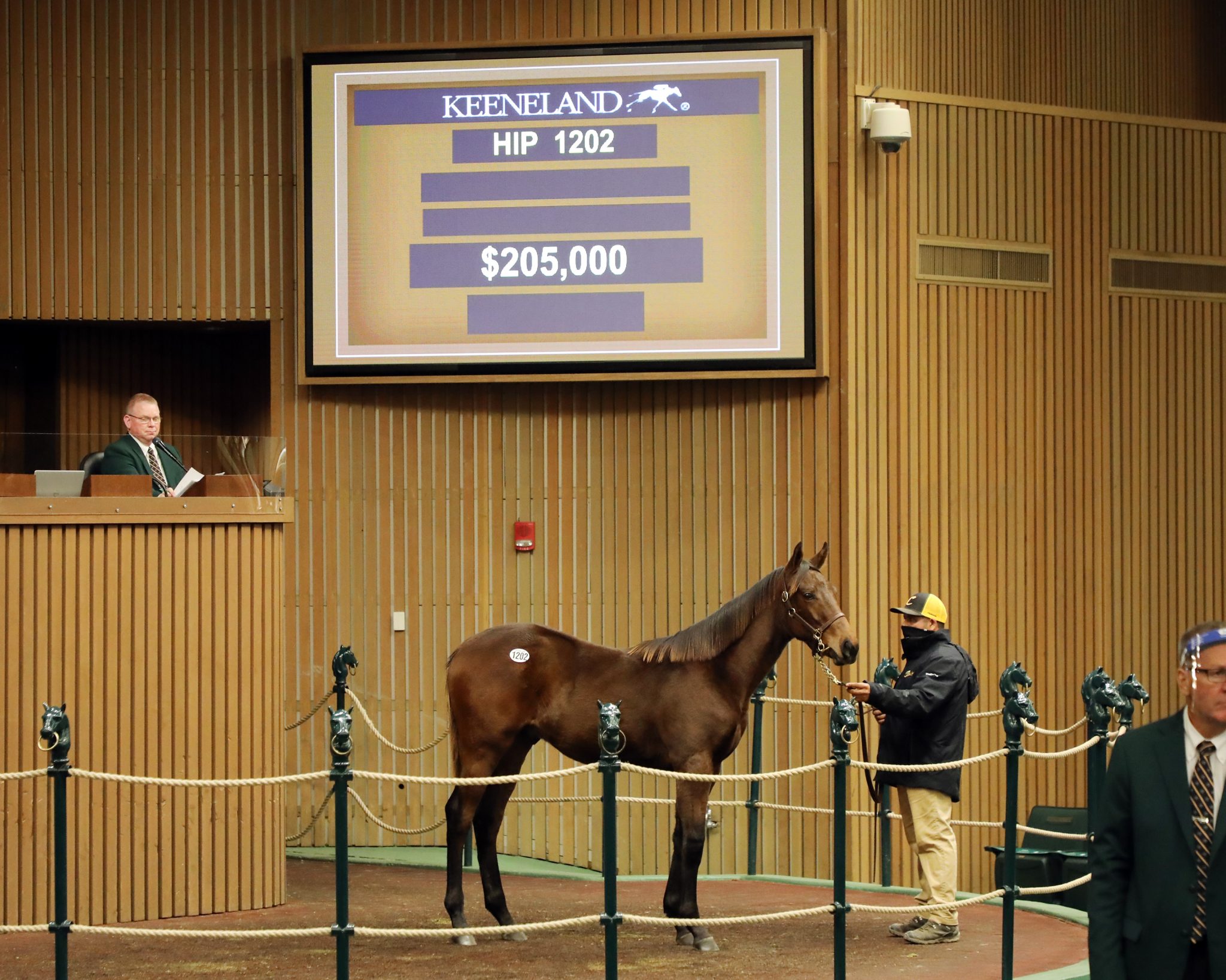 Claiborne Stallion Highlights at Keeneland November - Claiborne