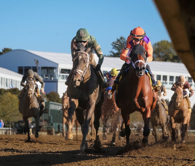 UPDATE: BLAME’s Broodmare Sire Talents on Full Display This Fall ...