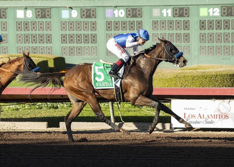 Saudi Cup Champion Panthalassa’s Success Spotlights the Powerful ...