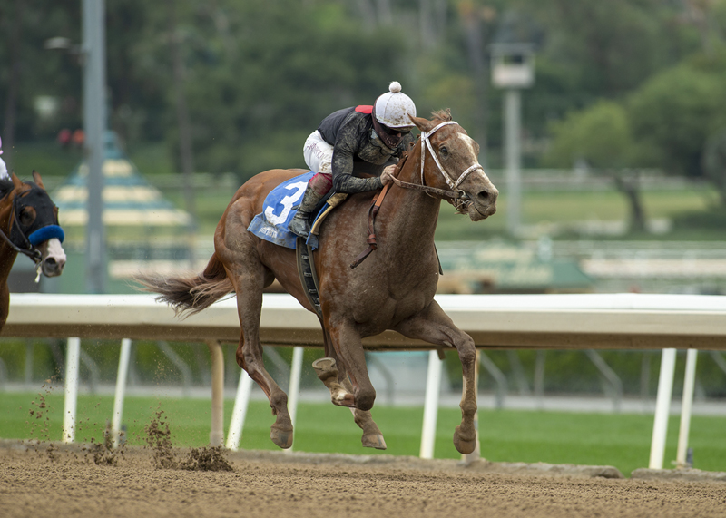 Fasig-Tipton Saratoga Sale Features 25 Yearlings from Claiborne ...