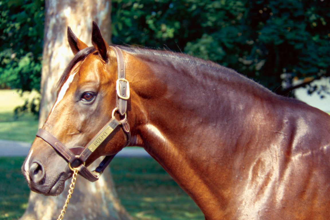 Gulfstream’s Pulpit Stakes Honors Claiborne Homebred - Claiborne