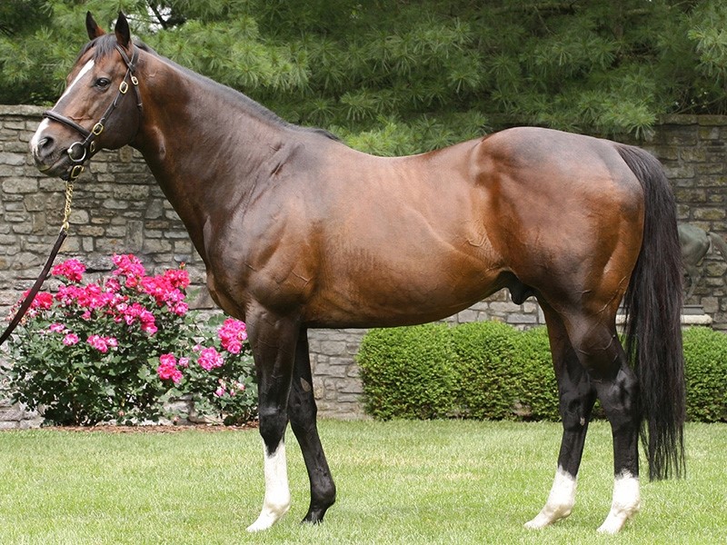 Gulfstream’s Pulpit Stakes Honors Claiborne Homebred - Claiborne