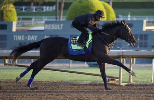 Kentucky Derby Contender Rodriguez Represents the Claiborne Family of ...